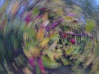 Panning Definition - What is Panning by SLR Lounge