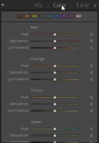 What is The HSL/Color/B&W Panel in Lightroom and How Do Yo Use It?