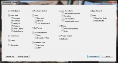 How to Use the Sync and Auto Sync Functions to Batch Process Images in ...