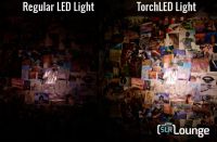 Bright Lights! Switronix TorchLED Bolt - Rapid Gear Review