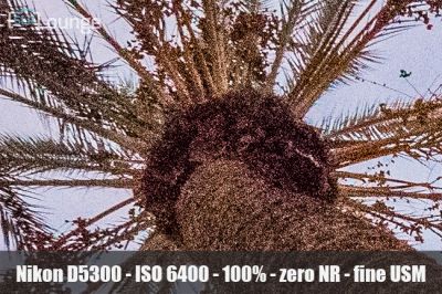 Nikon D5300 Initial Review and Sample Images