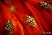 Nikon DF Review and Sample Images