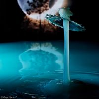 Ultra High Speed Photography Creates Sculptures Out of Liquid