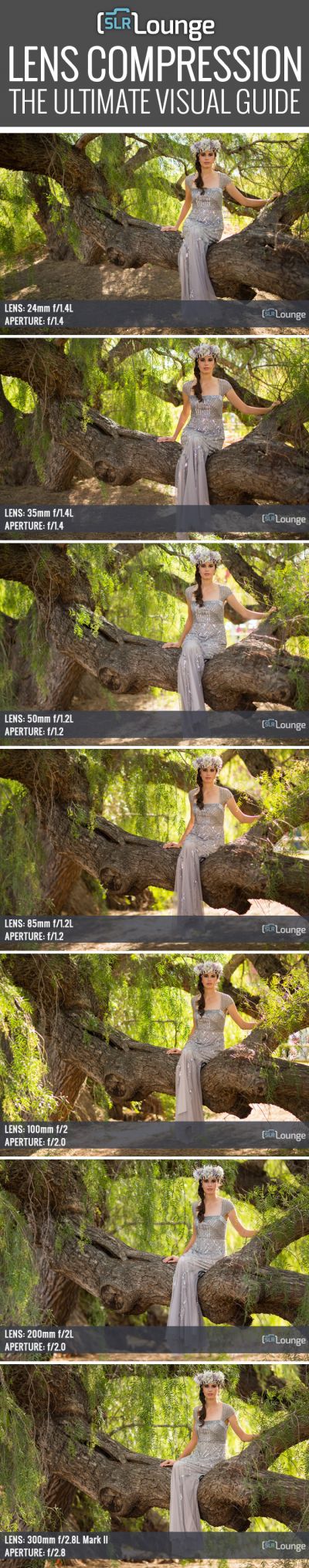 Lens Compression Definition - What is Lens Compression by SLR Lounge