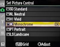 Black and White Photography Tips with More Intention and Impact