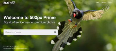 Social Media for Photography: 5 Reasons Why Every Photographer Should ...