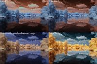 Beautiful Infrared Photography Will Make You Pause and Stare