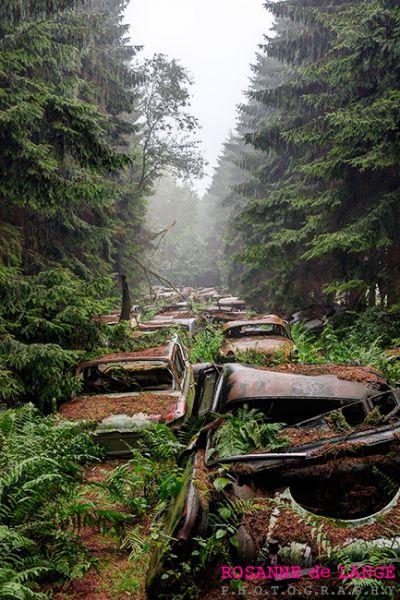 Chatillon Car Graveyard Looks Like a Dream UrbEx Location