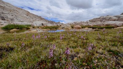 Adventure Report #1 - Mt Whitney's 97 Switchbacks, Under The Milky Way!