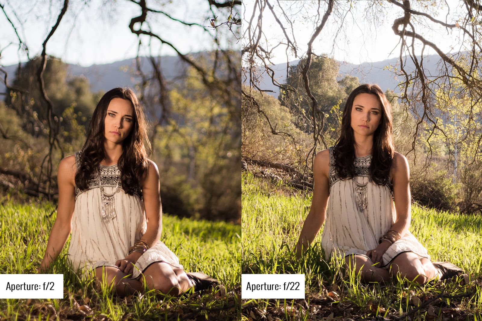 35mm vs 50mm When Buying Your First Prime Lens