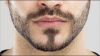 Create Incredibly Realistic Facial Hair In Photoshop With Ease