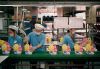 'The Real Toy Story' - A Look Inside the Chinese Factories That Make ...