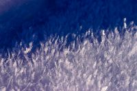 Cold Weather Photography Tips | How to Defrost and Save a Frozen Camera