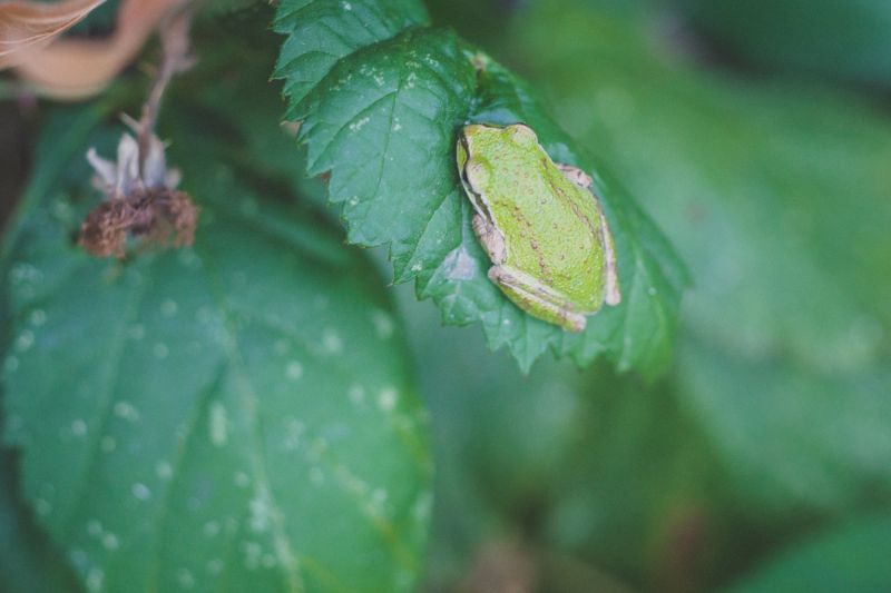 3 Keys To Achieve Consistency In Your Images