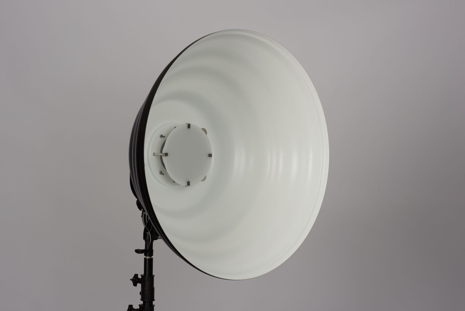 Is the Mola Setti the King of Beauty Dishes?