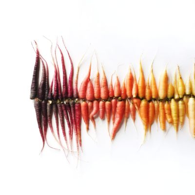 Beautiful Photography Arranged In Gradient Compositions Is Food For The ...