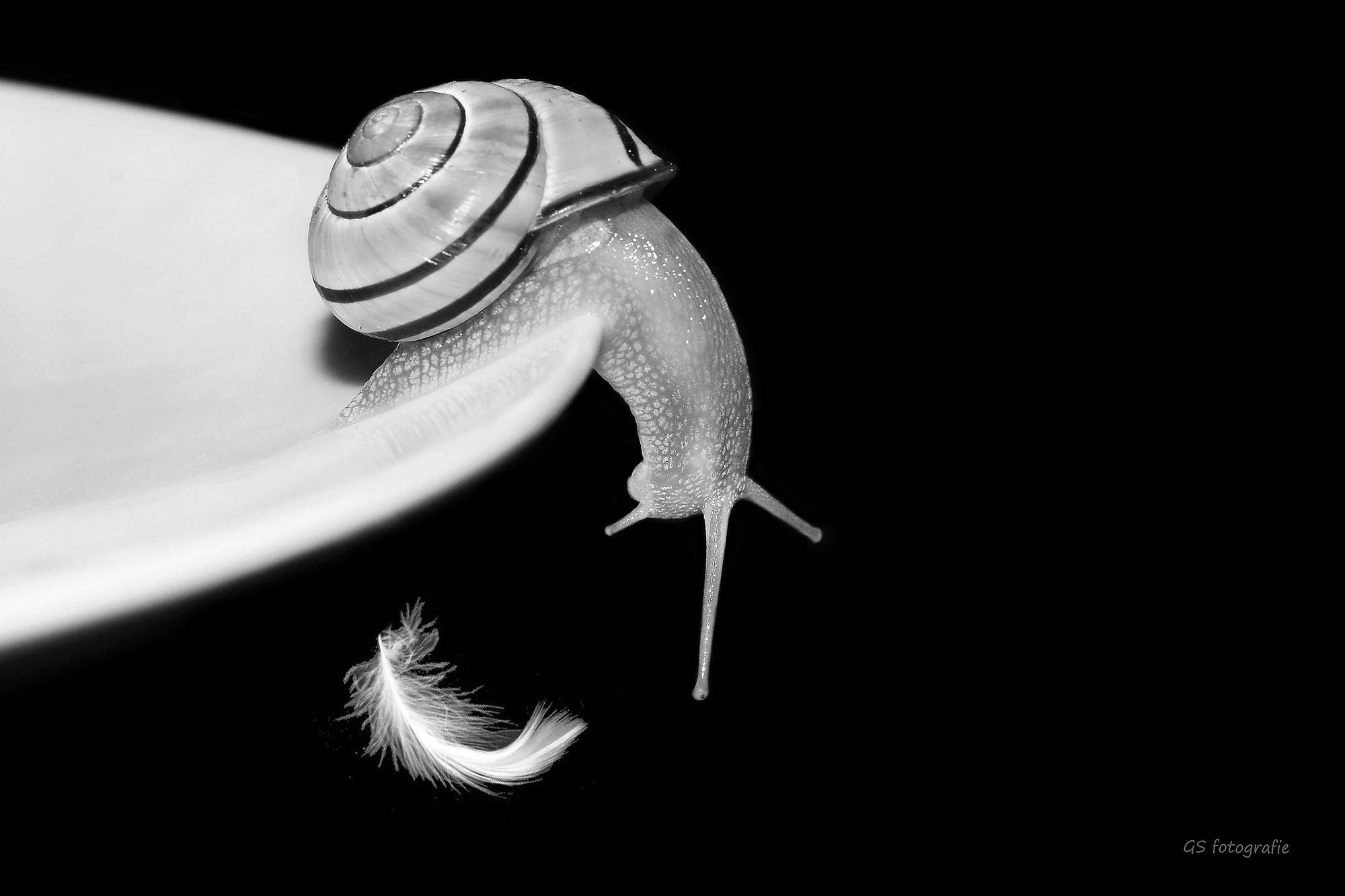 Amateur Photographer Gives Us An Up Close Look At The Wonderful World ...