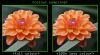 Fascinating Look At What's Really Going On Inside A JPEG | Color, Compression, Uses