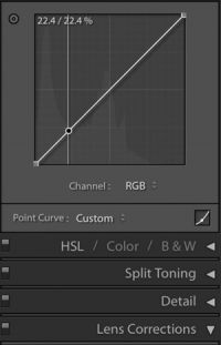 Adding a Matte Look In Lightroom Made Easy