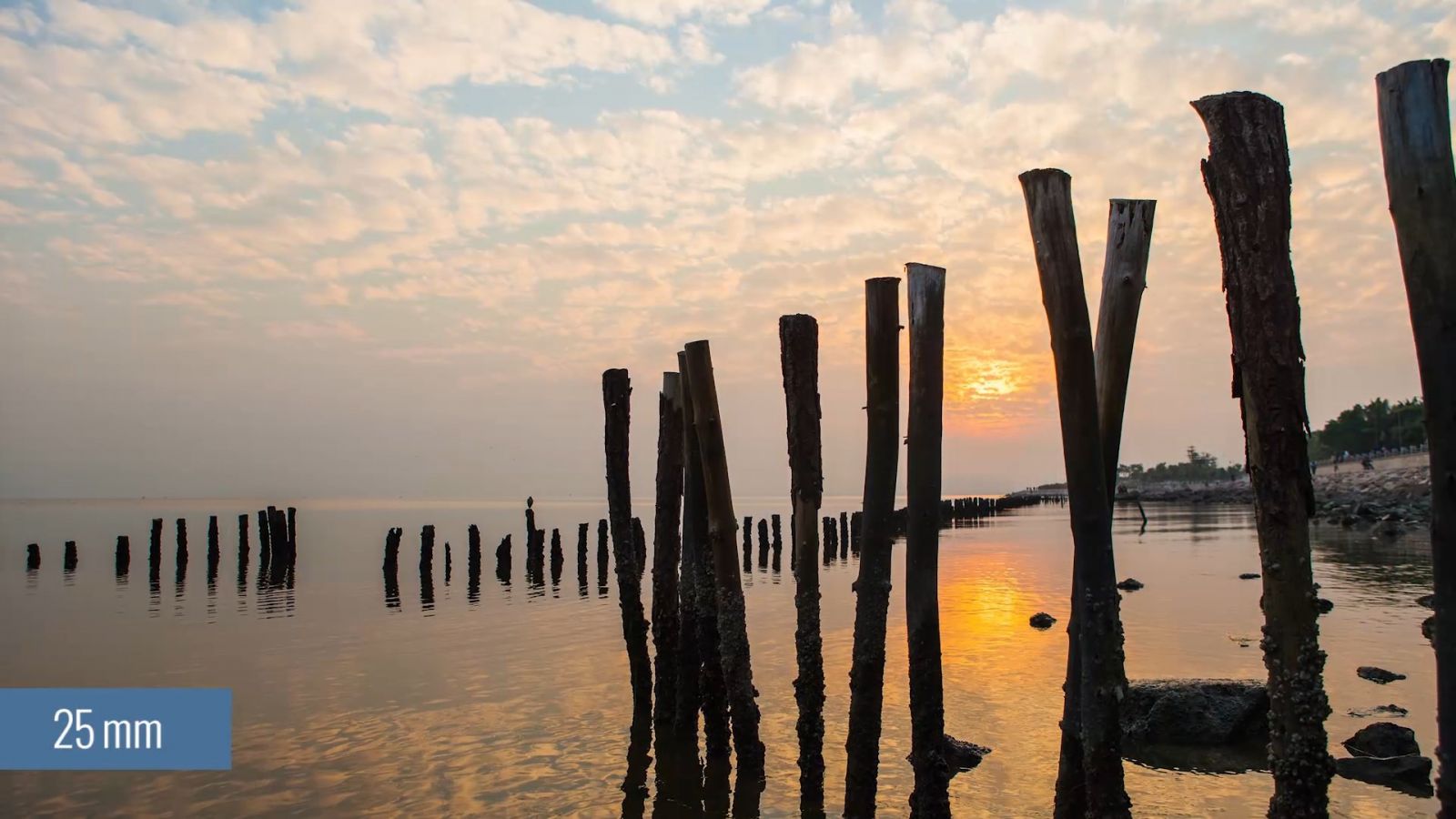 How Does a Camera Work? | Basic Photography Guide