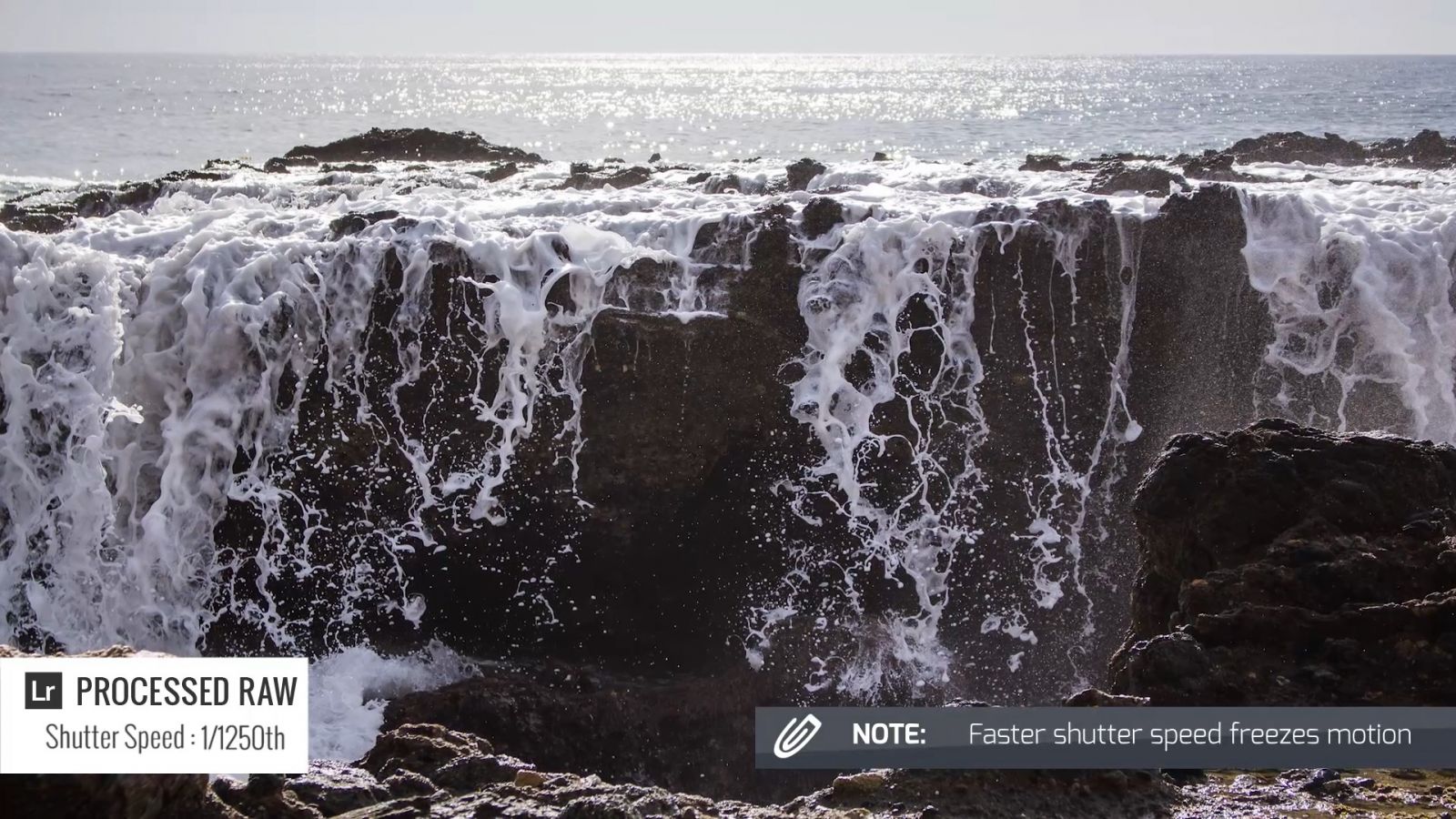 How Does a Camera Work? | Basic Photography Guide