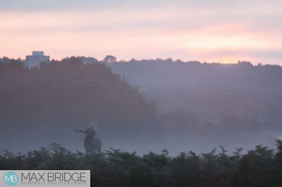 Improve Your Photography With These 3 Essential Practices