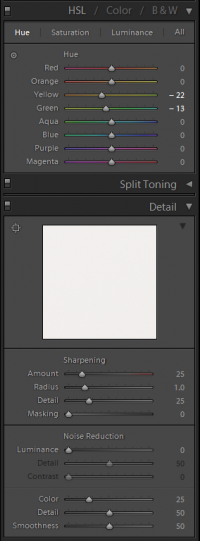 Useful Wildlife Photography Tips And Editing Fog Techniques {How I Shot It}