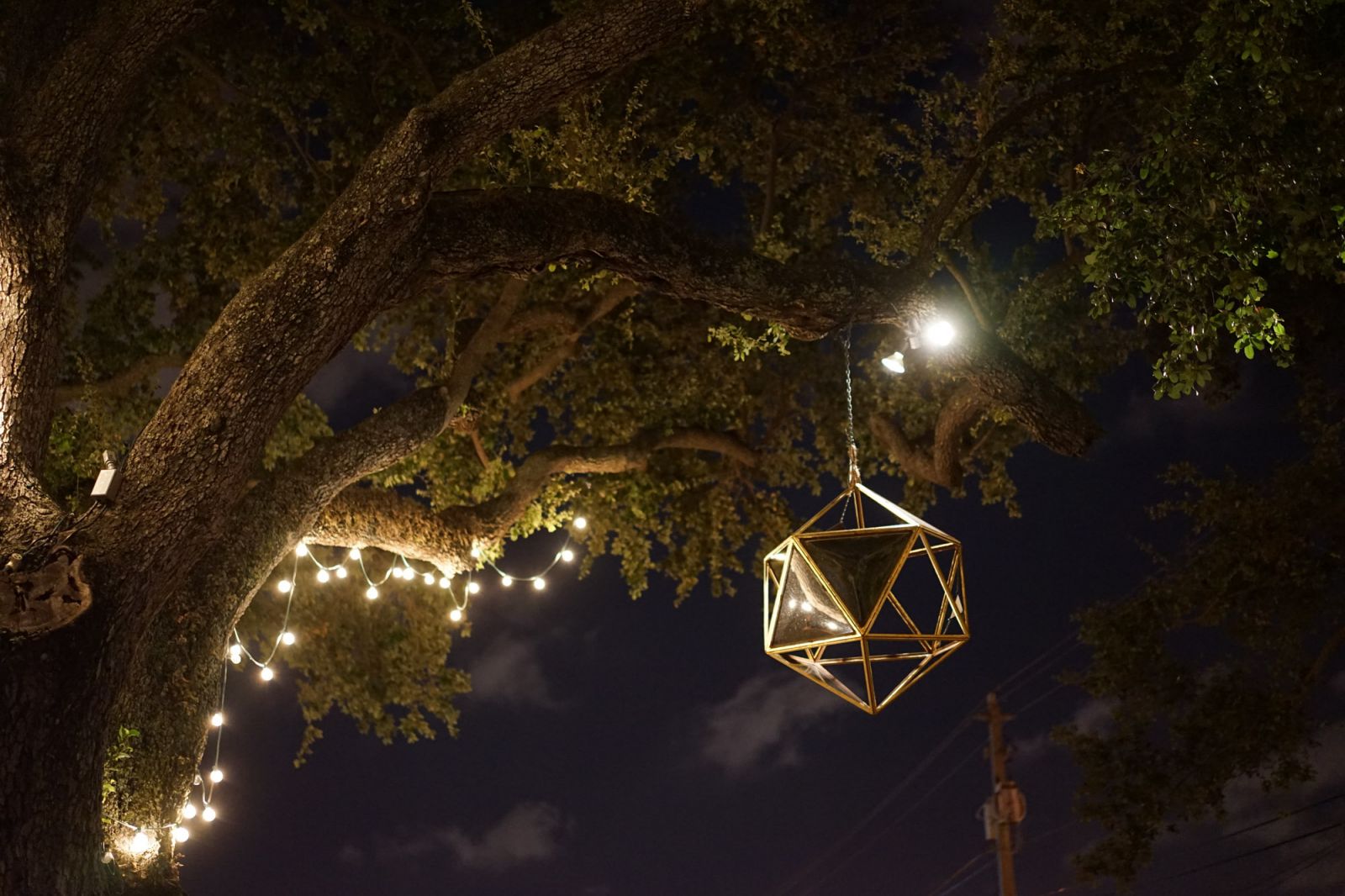 Sony A7II Review and Sample Images