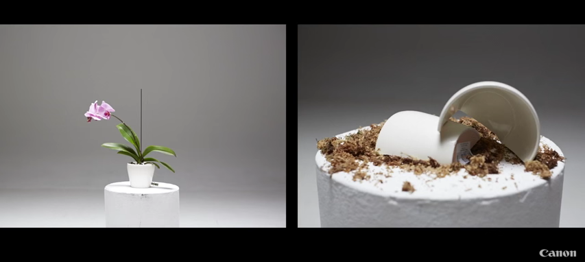 Canon's THE LAB Experiments Challenge Photographers To Think Creatively