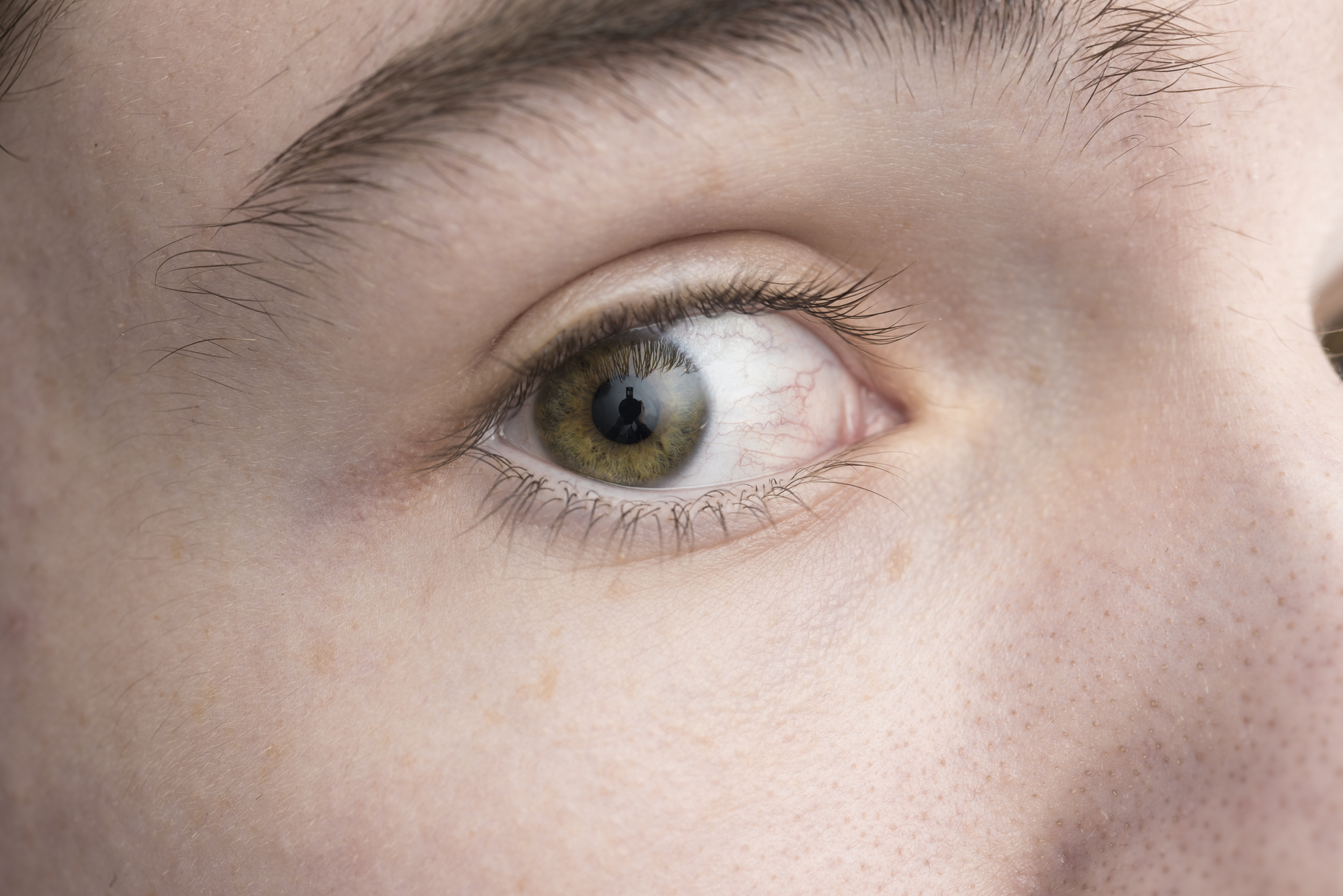 The Macro Lens | Why It Should Be Your Second Lens Purchase