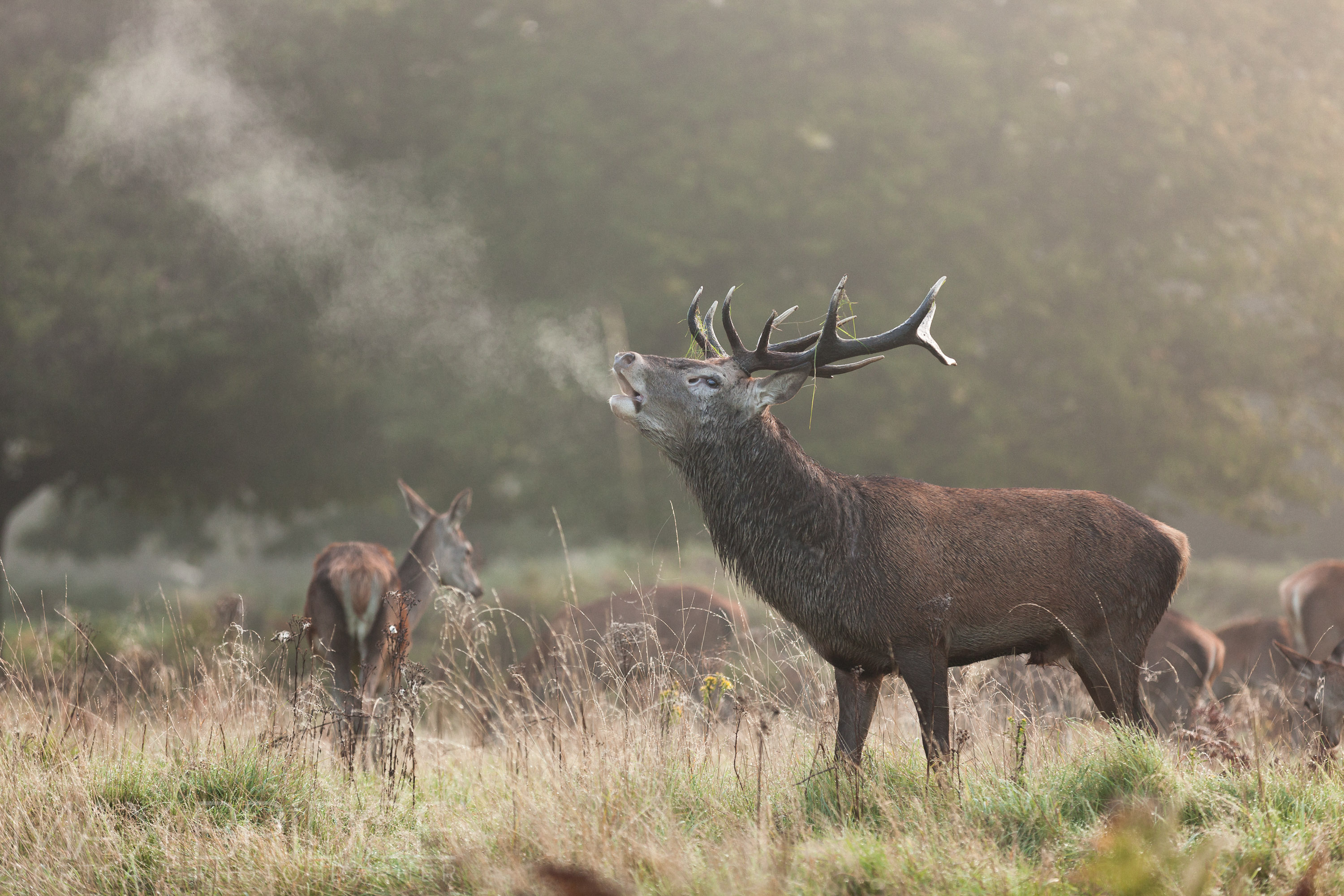 Nurture Your Passion & Maintain Your Sanity With Nature Photography ...