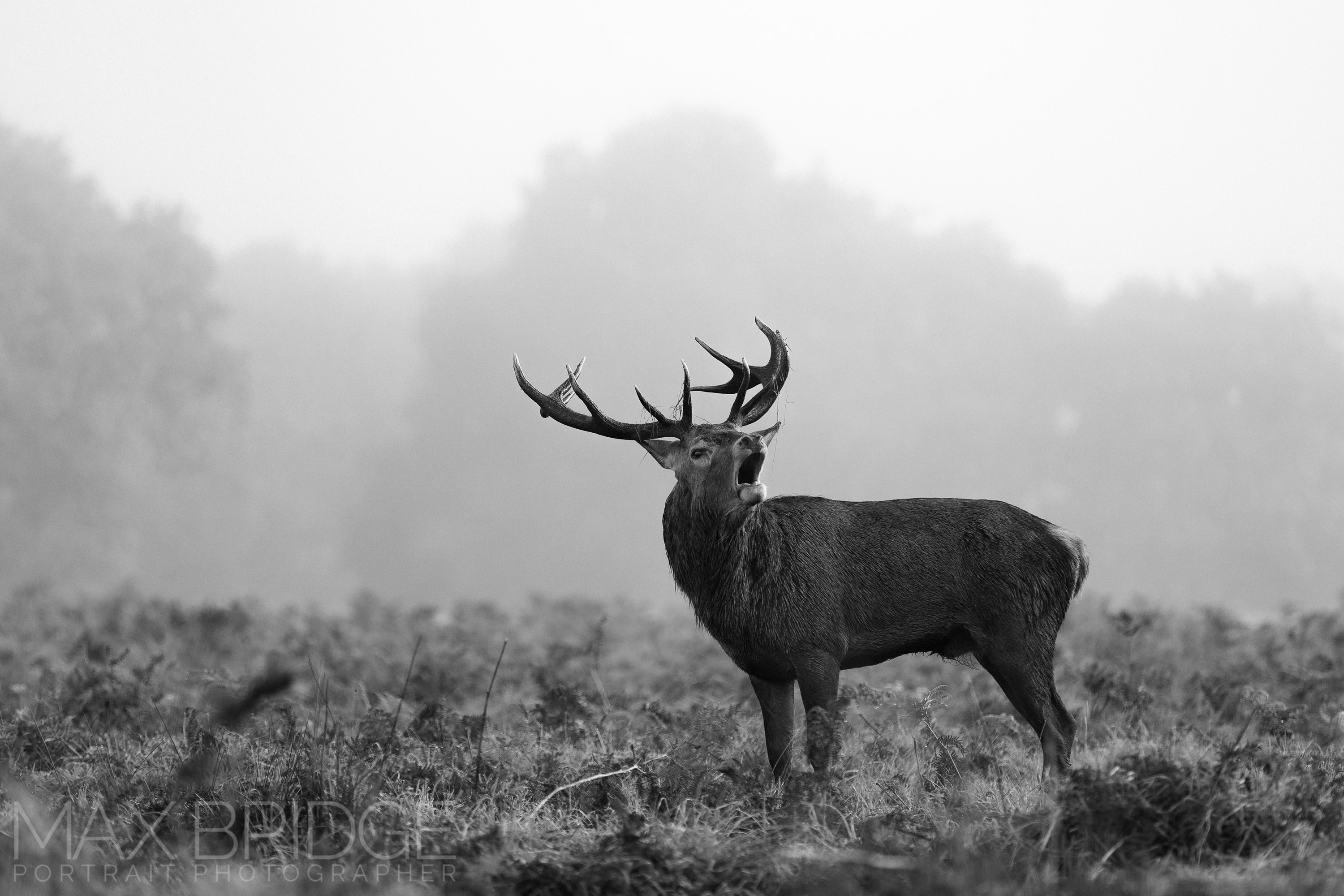 Nurture Your Passion & Maintain Your Sanity With Nature Photography ...