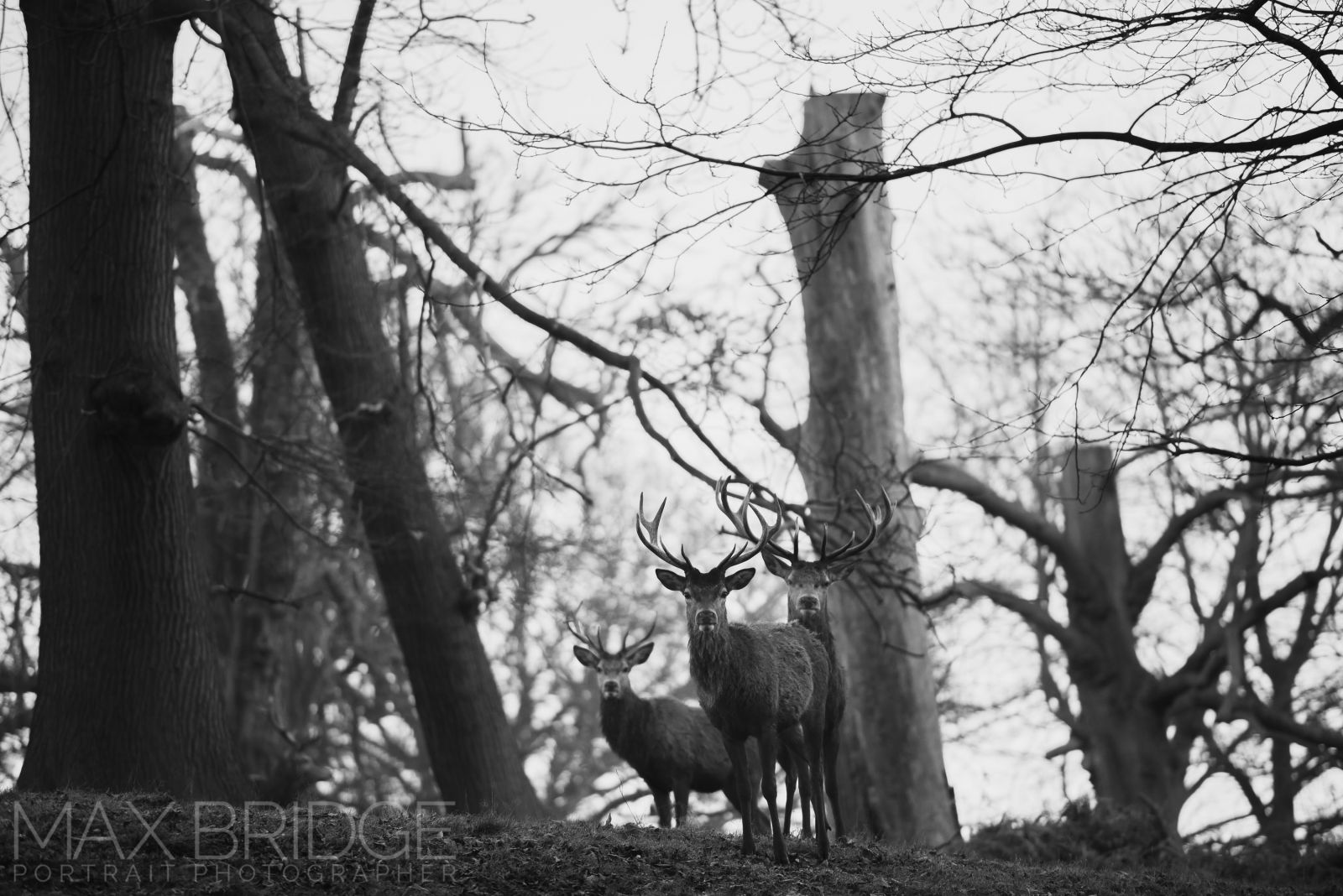 Nurture Your Passion & Maintain Your Sanity With Nature Photography ...