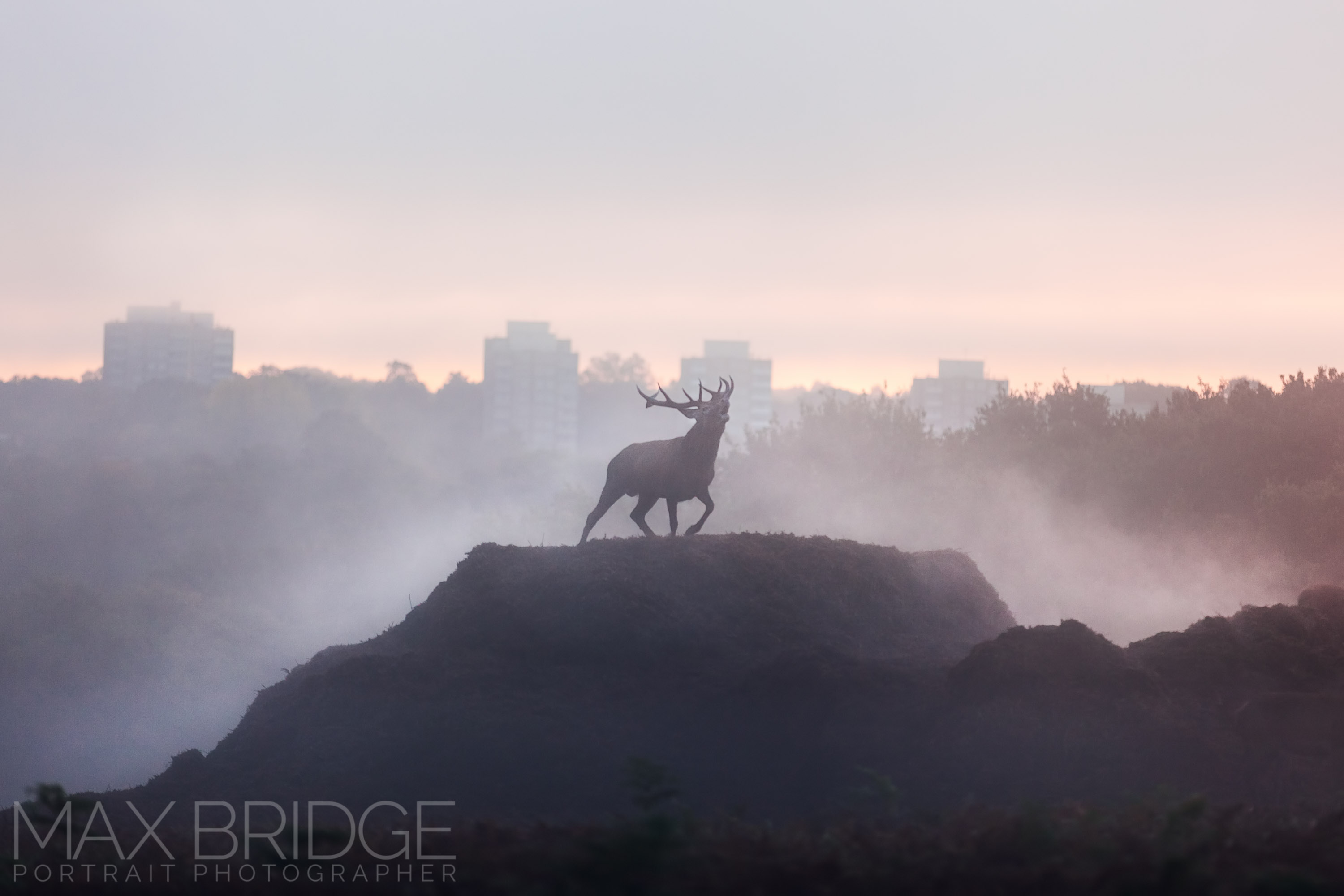 Nurture Your Passion & Maintain Your Sanity With Nature Photography ...