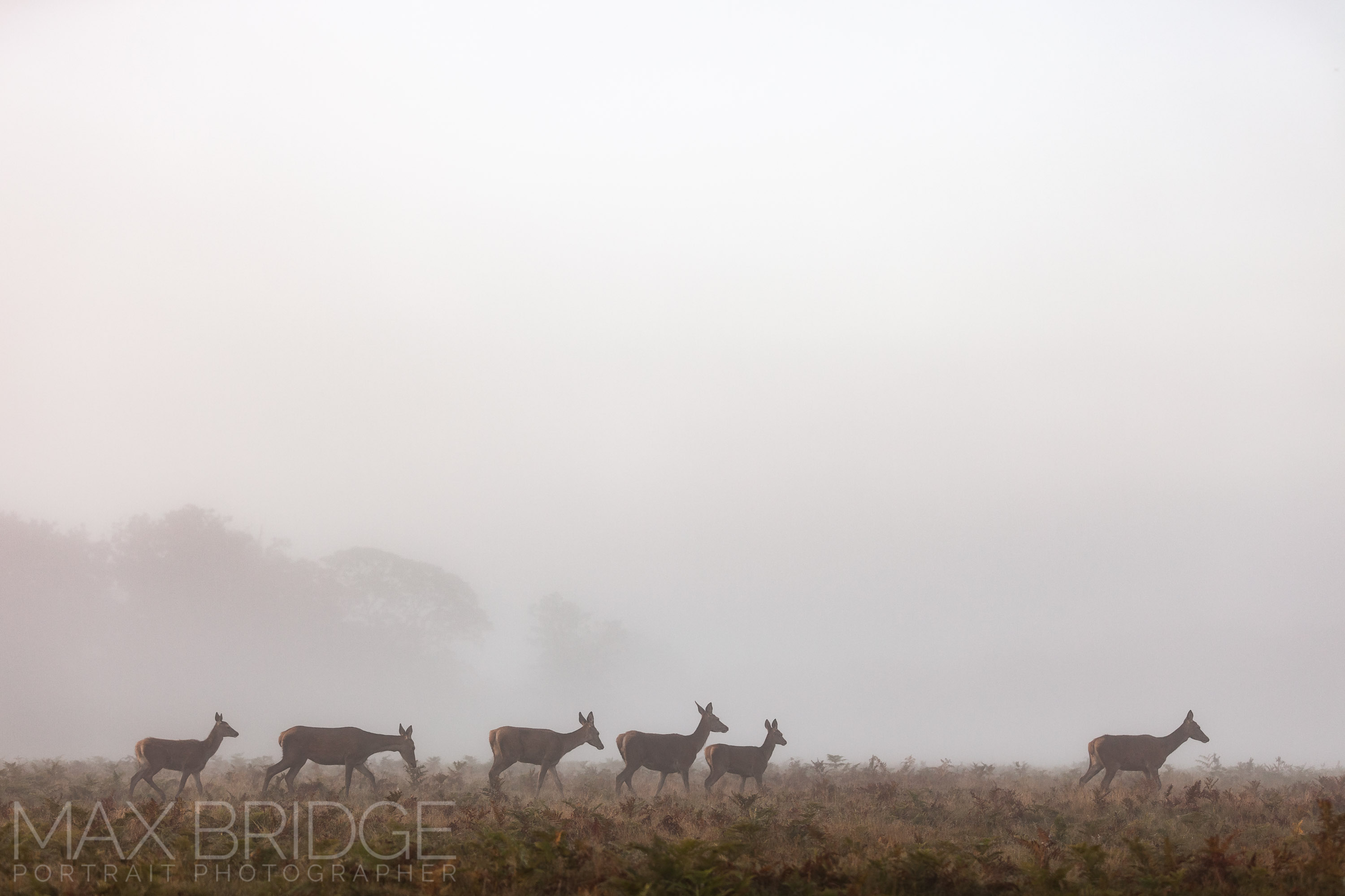 Nurture Your Passion & Maintain Your Sanity With Nature Photography ...