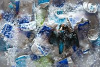 Wildlife Photographer Beautifully Captures the Devastating Impact of ...