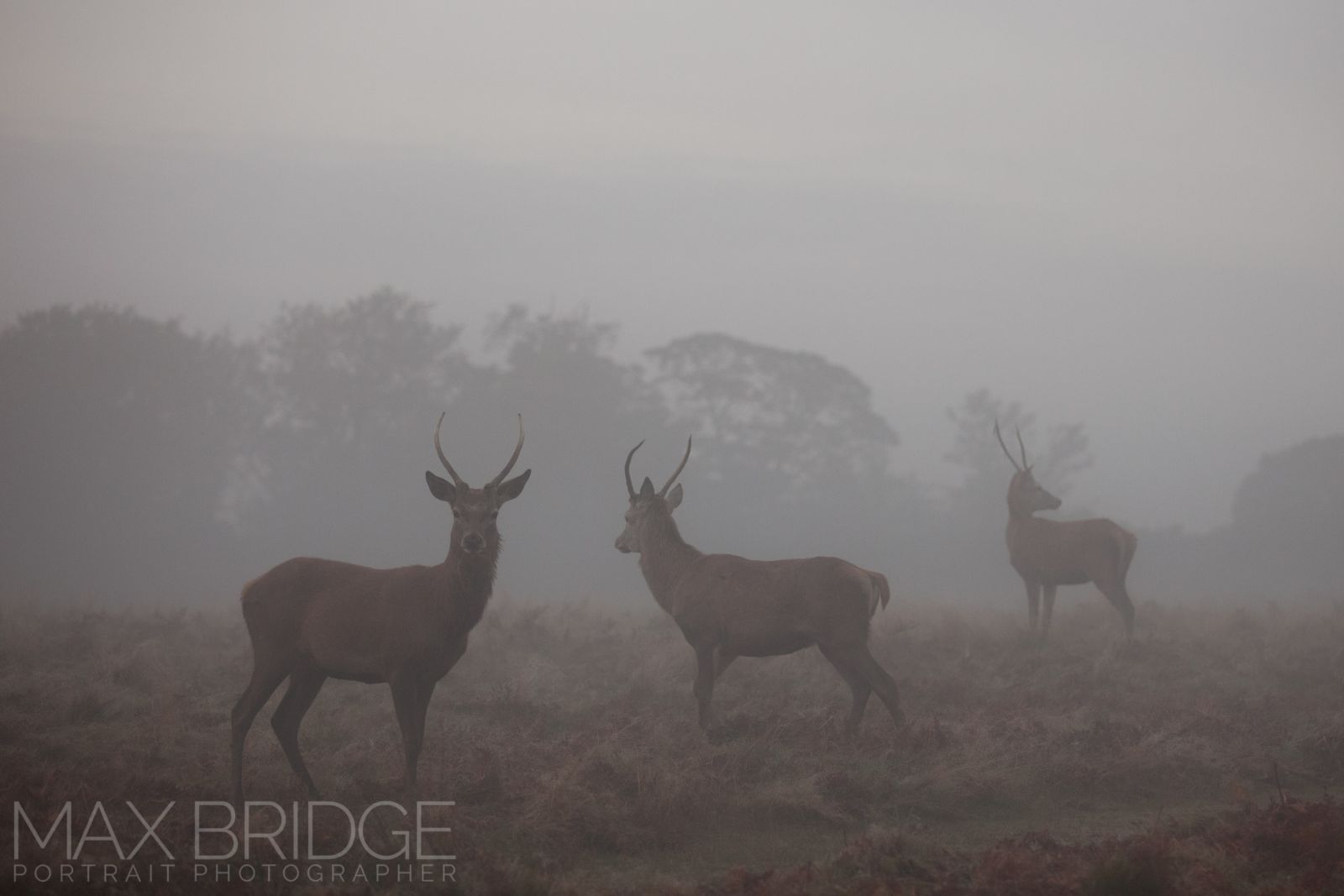 Is Your Editing Sabotaging Your Photography Development? | How Much Is ...