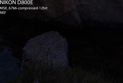 Nikon Raw NEF File Quality Option Comparison Testing | 14-bit Lossless ...