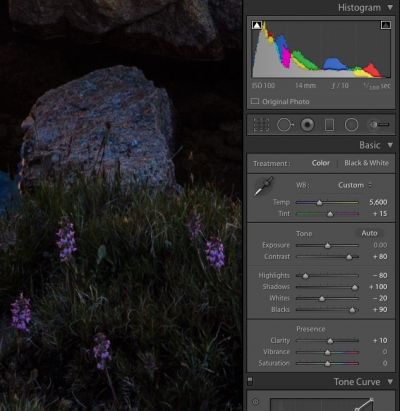 Nikon Raw NEF File Quality Option Comparison Testing | 14-bit Lossless ...