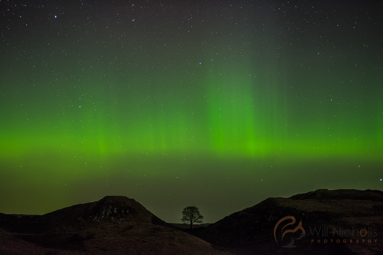 How to Photograph Stars | 7 Essential Night Photography Tips