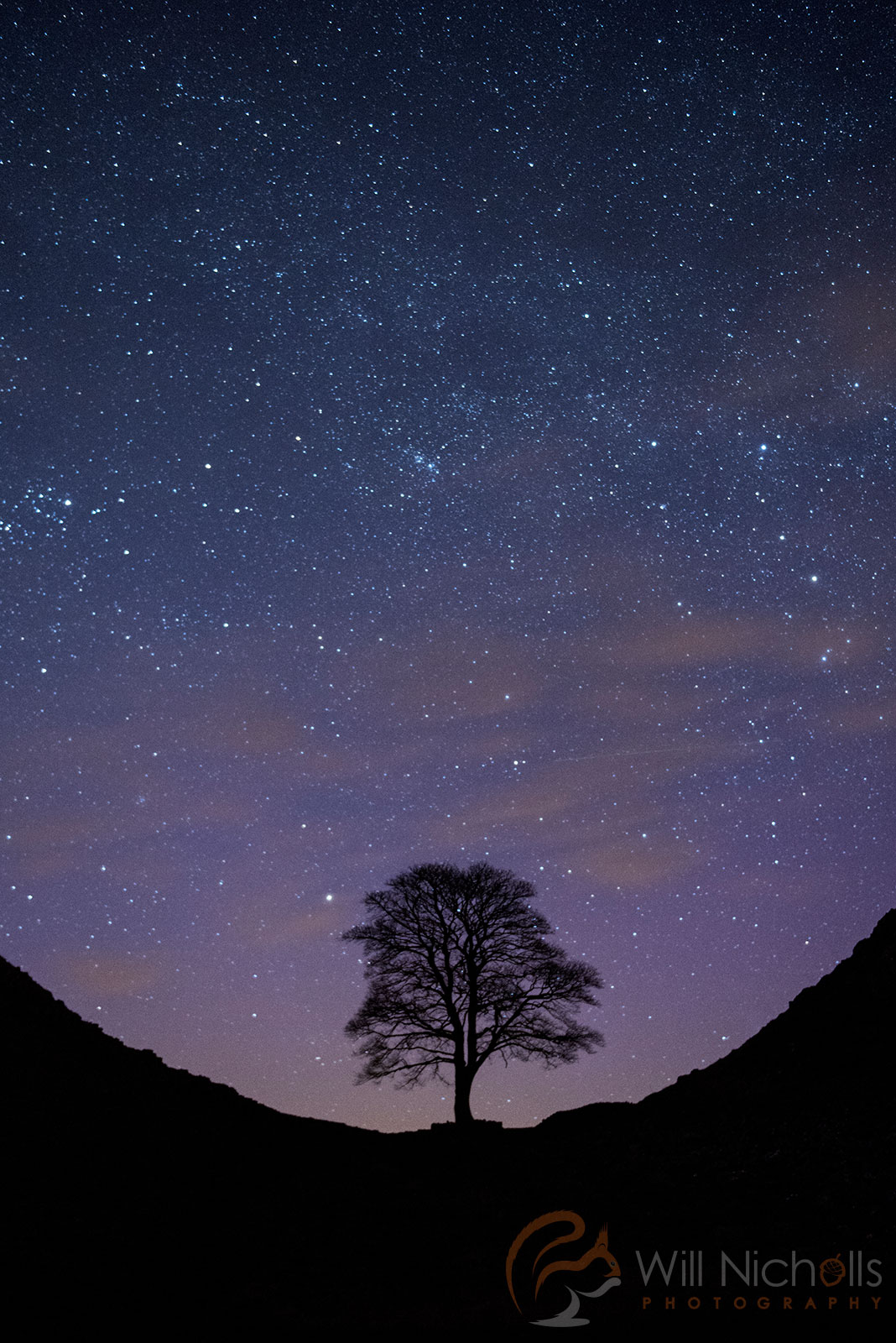 How to Photograph Stars | 7 Essential Night Photography Tips