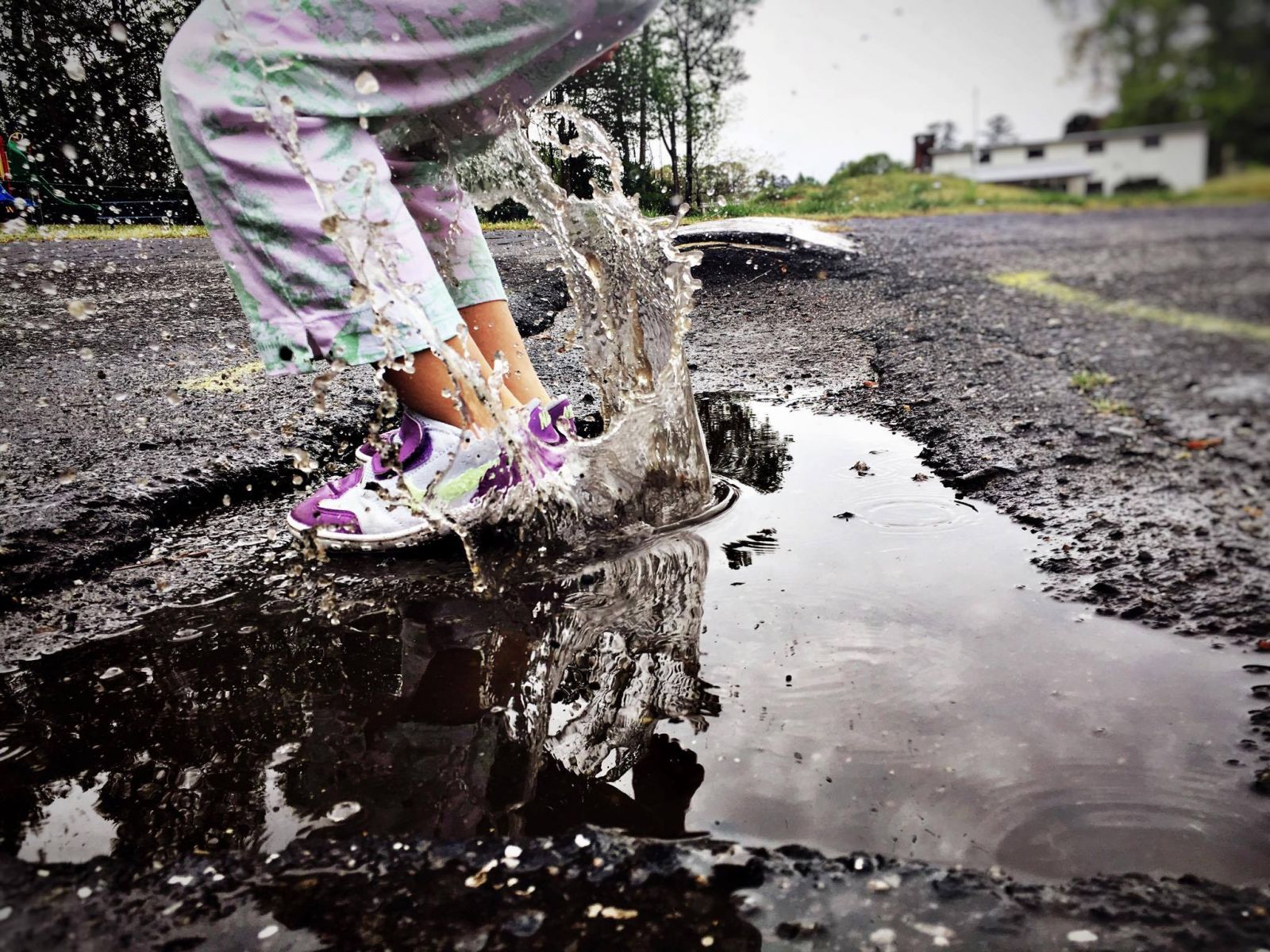 The Photographer's Struggle | Live Life Through The Lens Or Without The ...