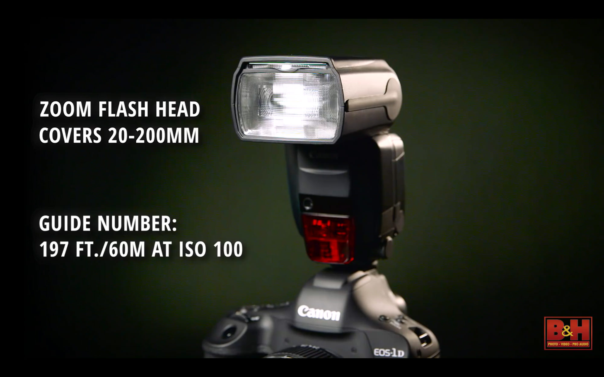 New Canon Releases | Macro Lens With Built-In Ringlight & New Flagship ...