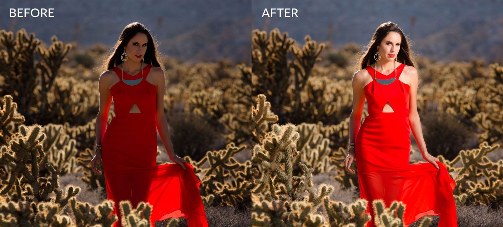 Photographers Guide to 3 Point Lighting and 2 Point Lighting Setups