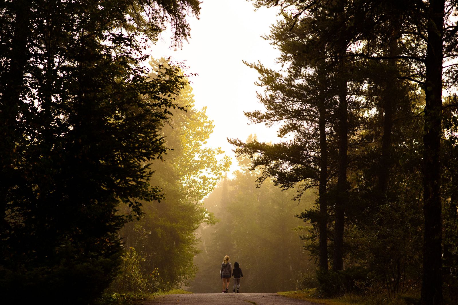 The Second Cameras Of Some Of The Best Wedding Photographers