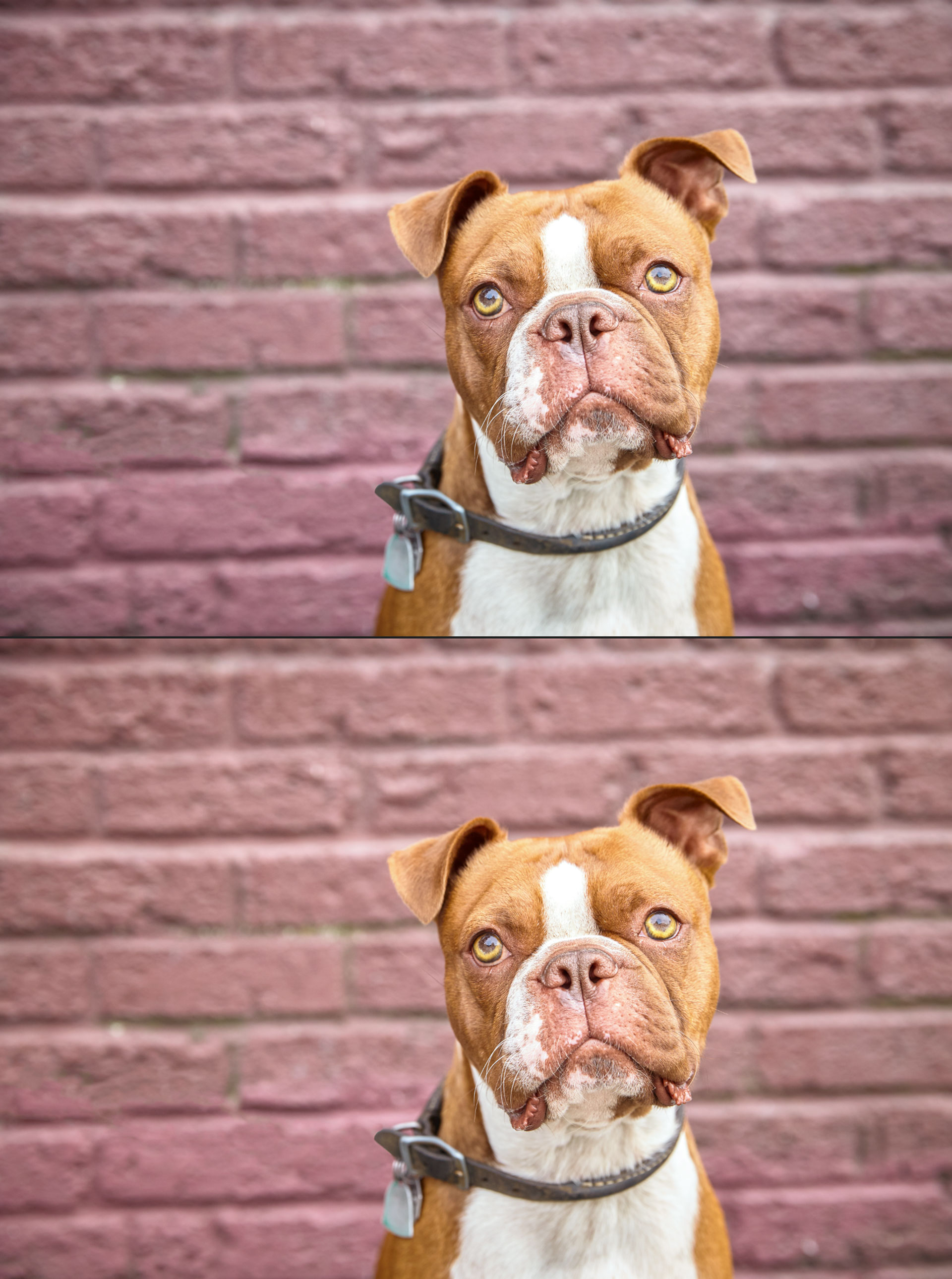 Adobe Color Themes | How To Create & Use Them For Color Grading In ...