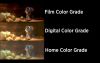 Learn Color Theory & Application The Pixar Way | For Free