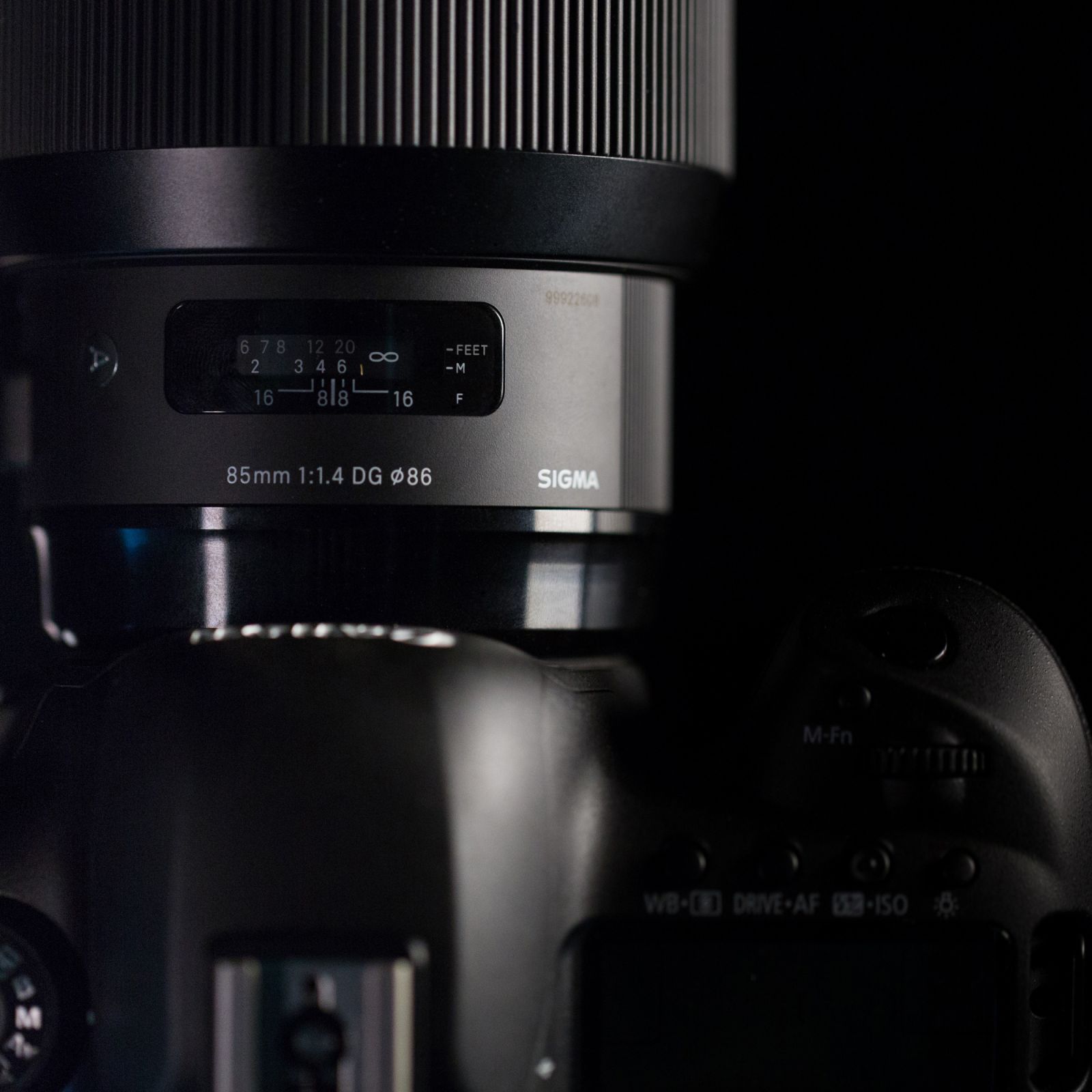 Sigma 85mm f/1.4 Art Review | The Beauty Of This Beast