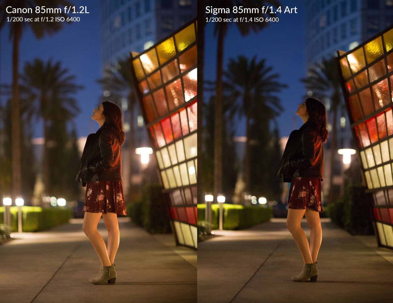 Sigma 85mm f/1.4 Art Review | The Beauty Of This Beast