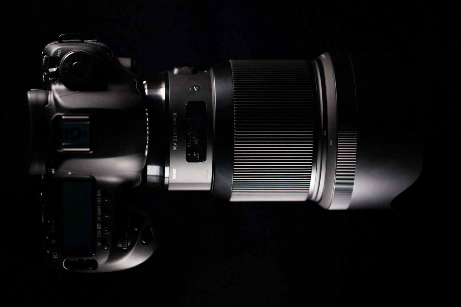 Sigma 85mm f/1.4 Art Review | The Beauty Of This Beast